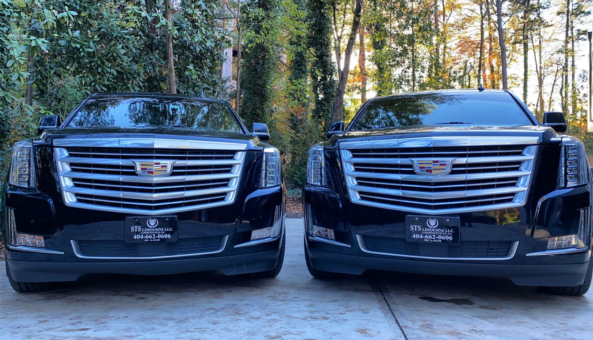 STS LIMOUSINE AND AIRPORT TRANSPORTATION